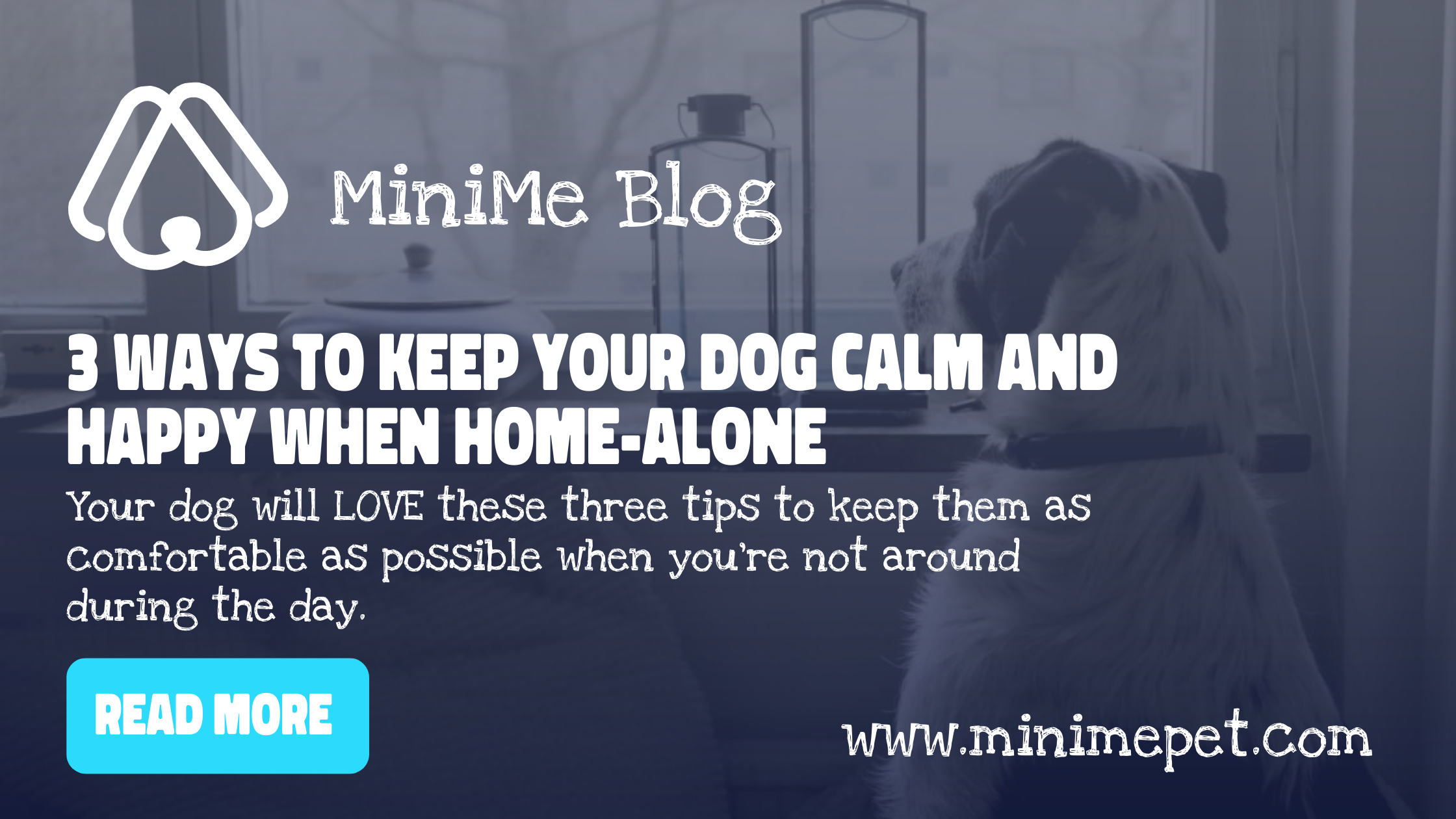 3 Ways To Keep Your Dog Calm and Happy When Home-Alone - MiniMe Pet ...