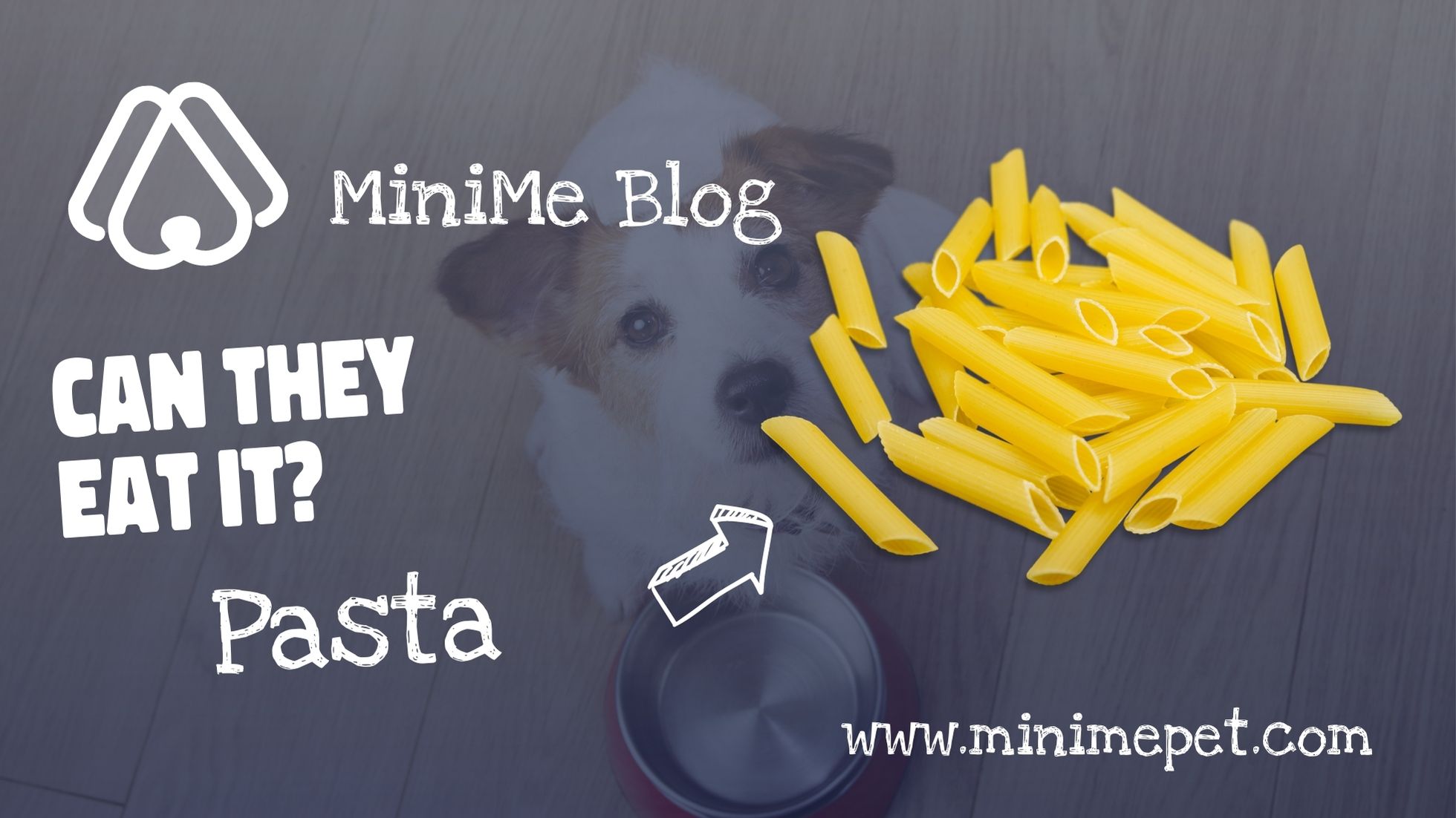 Can Dogs Eat Pasta? - MiniMe Pet - Social App for Pets