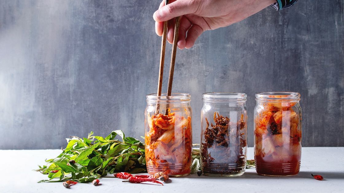 ¿Pueden comer kimchi los perros? - MiniMe Pet - Social App for Pets